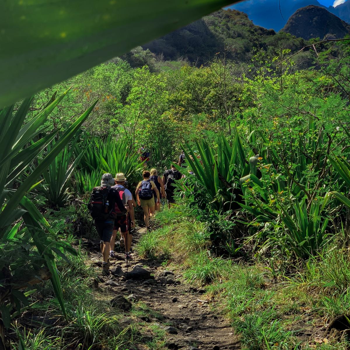 The cirques | Île de la Réunion Tourisme