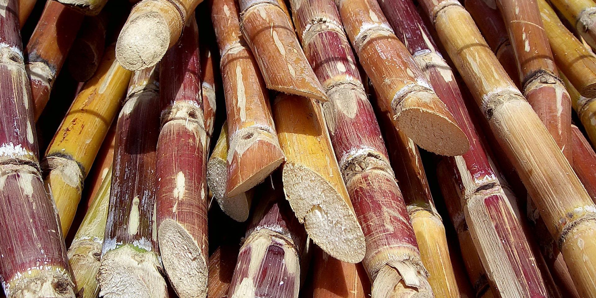 Zuckerküchlein aus „Galabé“-Zucker | Île de la Réunion Tourisme