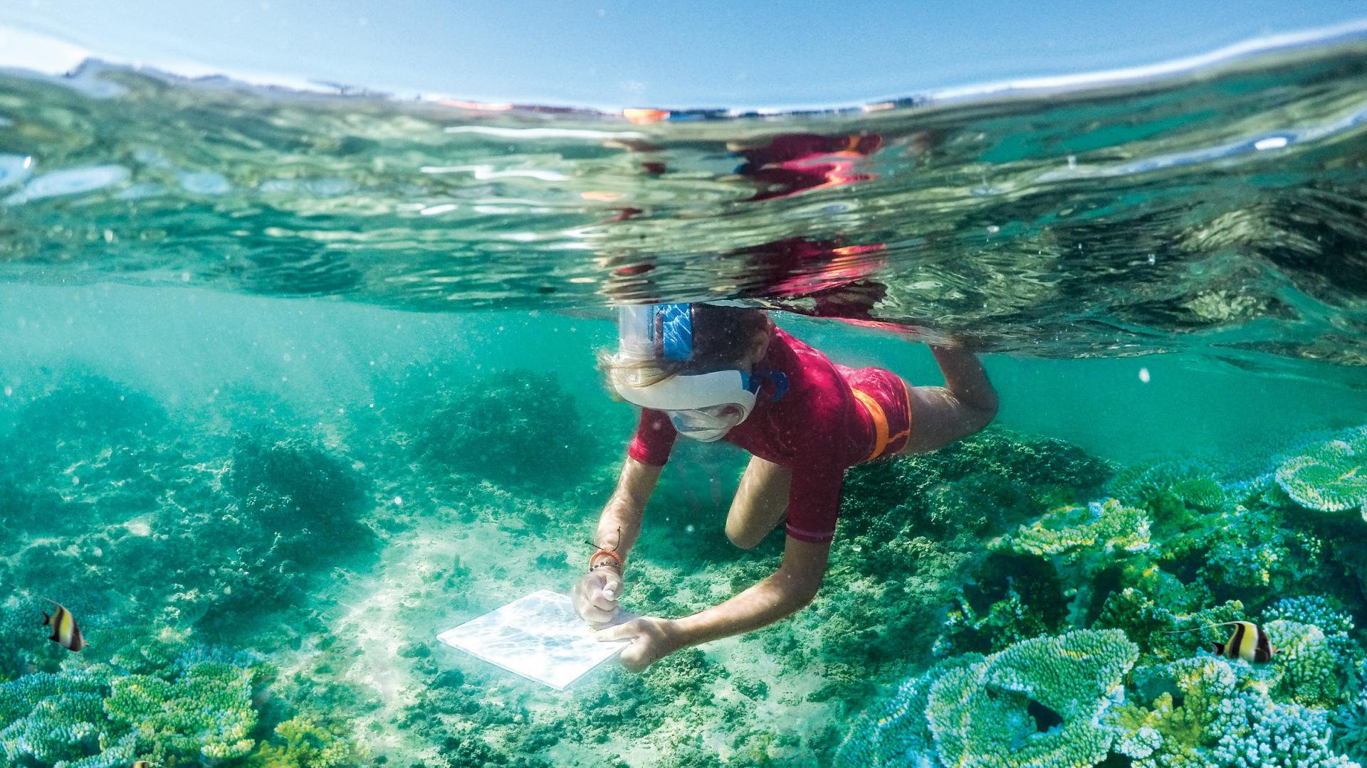 Reunion Island Lagoon: a blue paradise on the West Coast