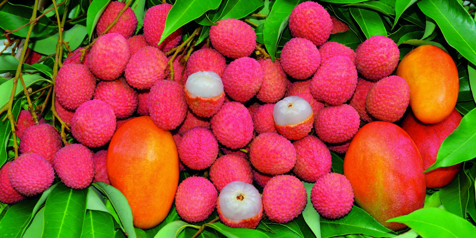 Lychee punch recipe | Île de la Réunion Tourisme