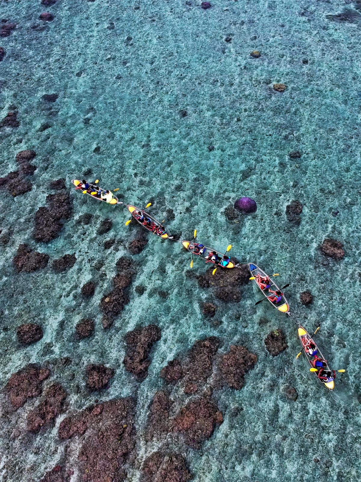 Reunion Island Lagoon: a blue paradise on the West Coast