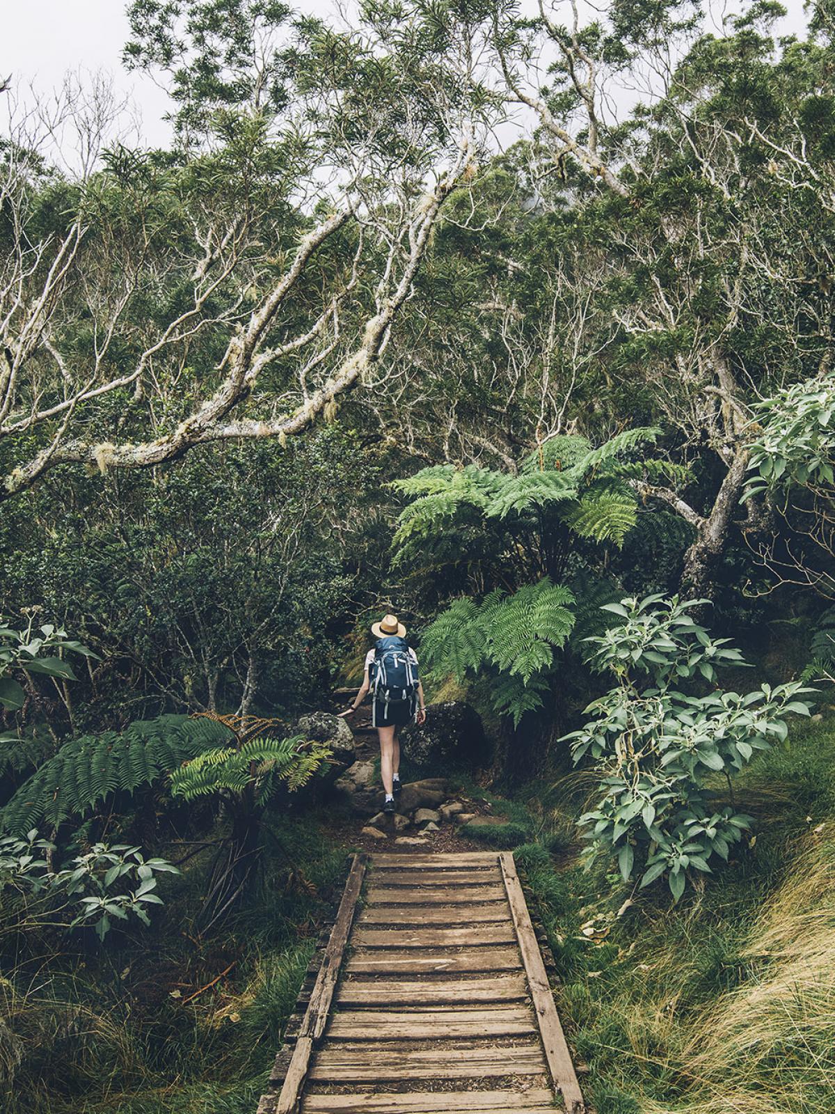 Parks and gardens | Île de la Réunion Tourisme