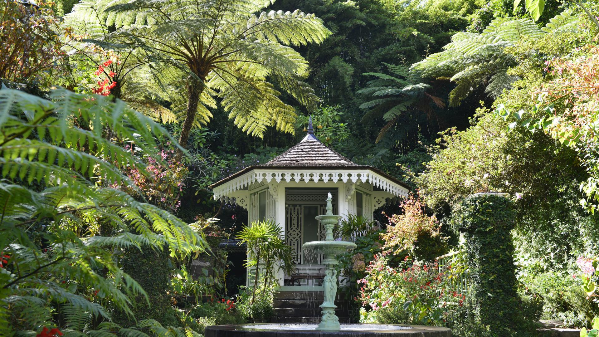 Les jardins botaniques | Île de la Réunion Tourisme