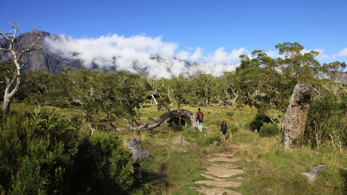Hiking on Reunion Island: an exploration in the great outdoors