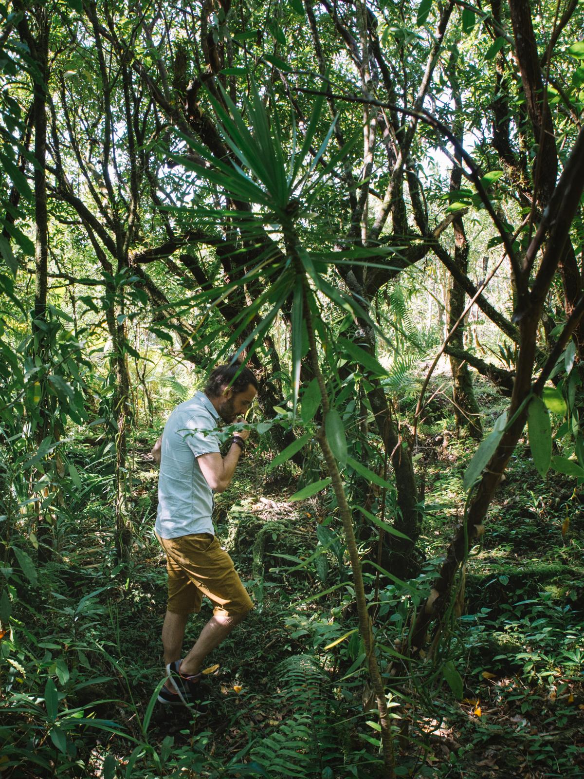 The Reunionese population | Île de la Réunion Tourisme