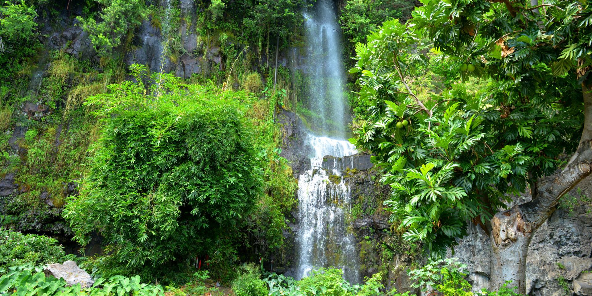Parcs et jardins | Île de la Réunion Tourisme
