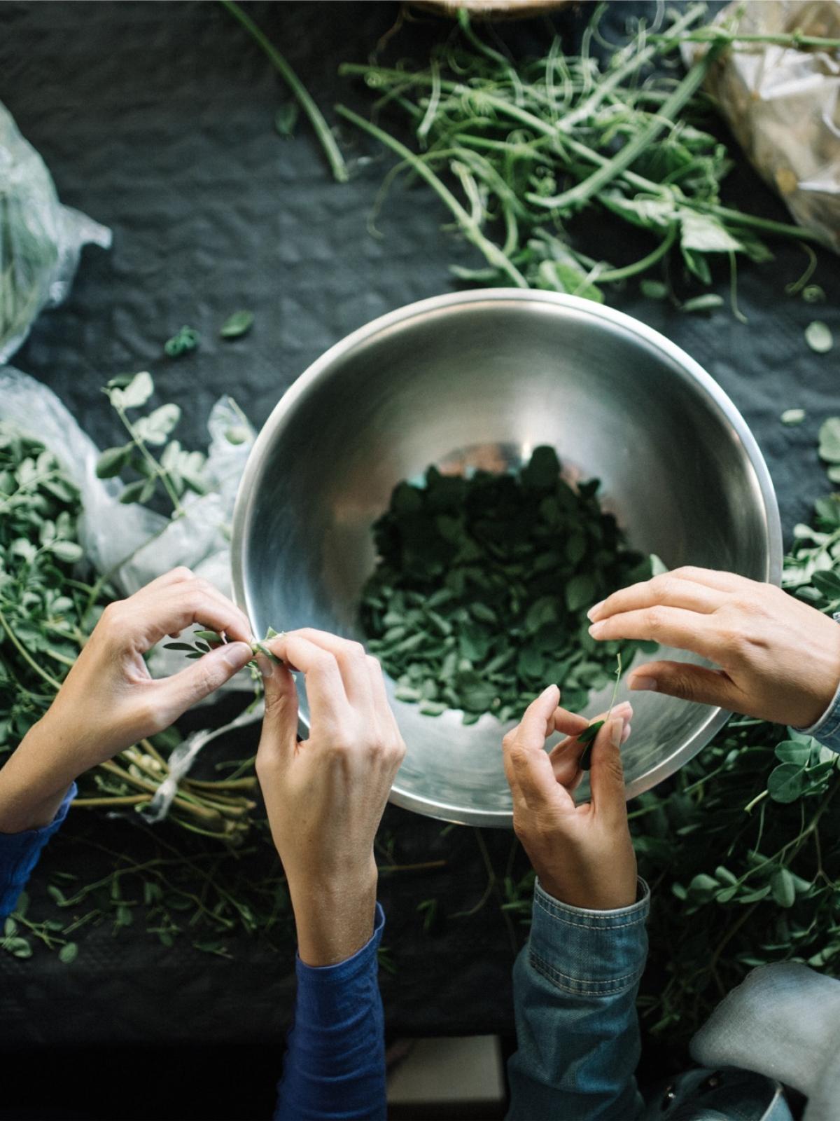 Découvrez | Île de la Réunion Tourisme