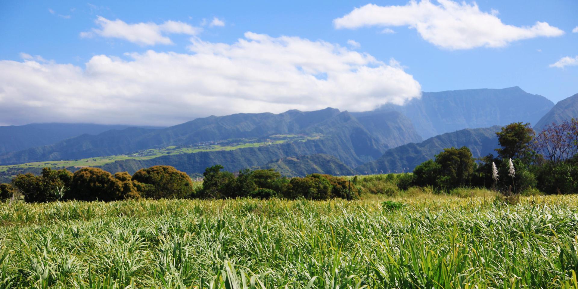 Sitarane | Île de la Réunion Tourisme