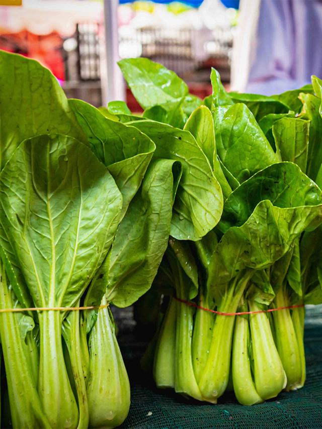 PARTEZ A LA RENCONTRE DE MADAME BRÈDES – LA CÔTE EST