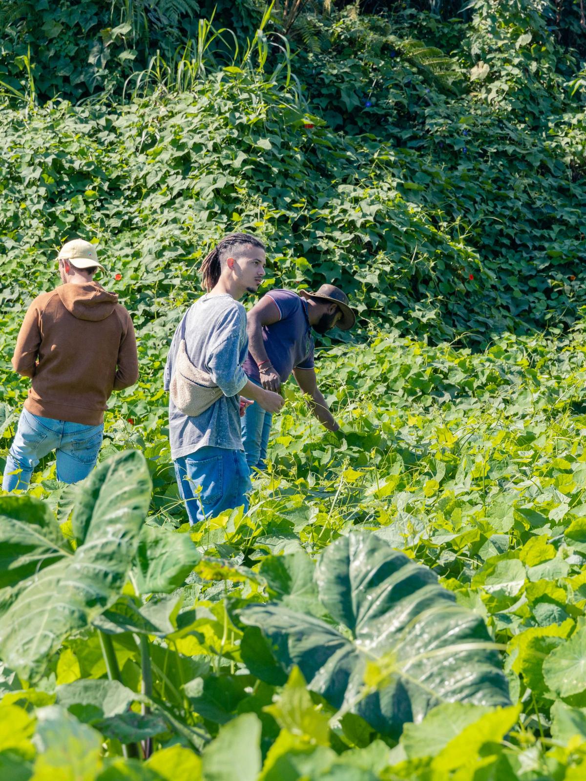 The Reunionese population | Île de la Réunion Tourisme