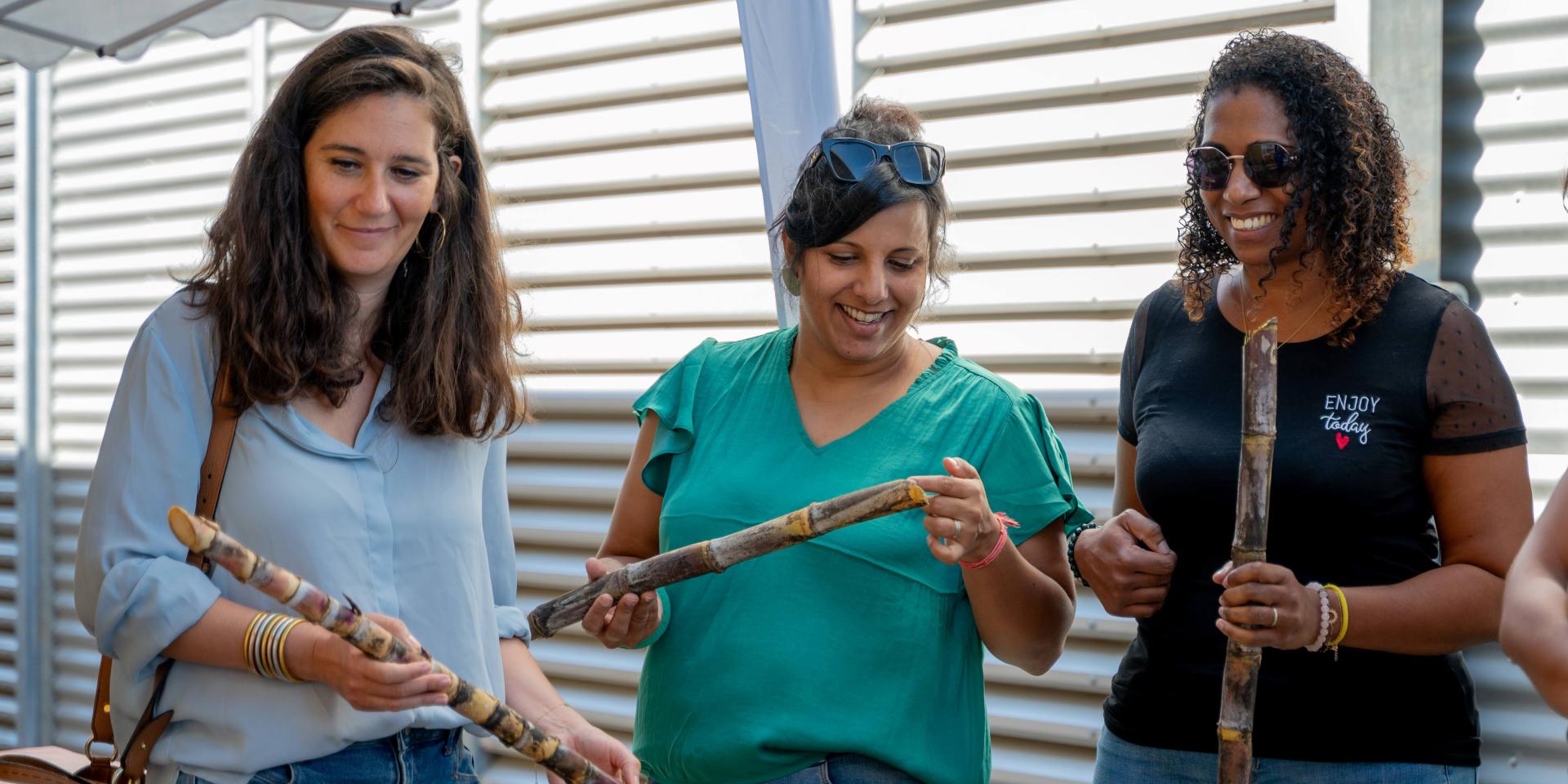 Die geheimnisse des galabé pei Île de la Réunion Tourisme